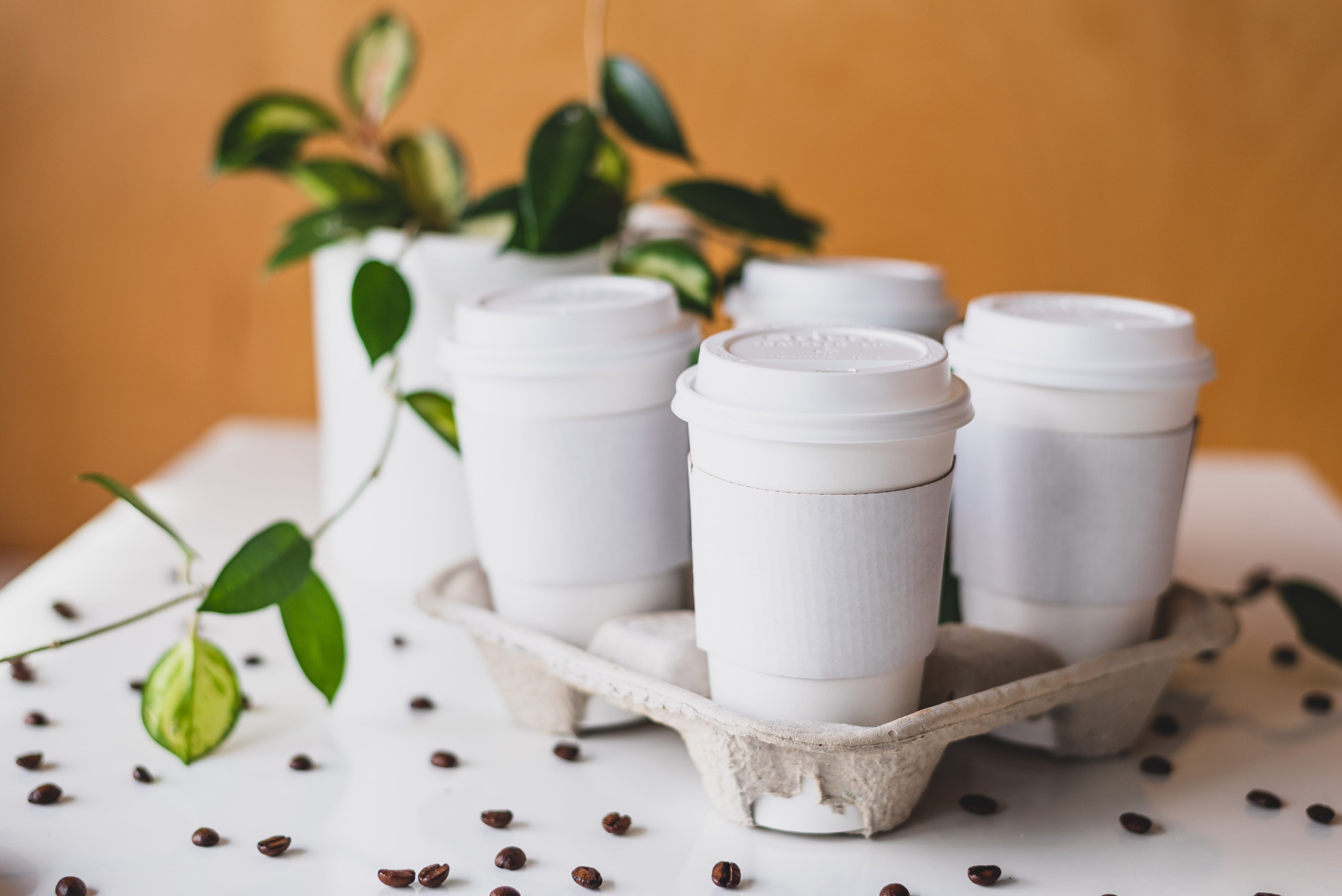 Downtown Cincinnati's Premier Coffee Purveyor — The Kidd Coffee Co.